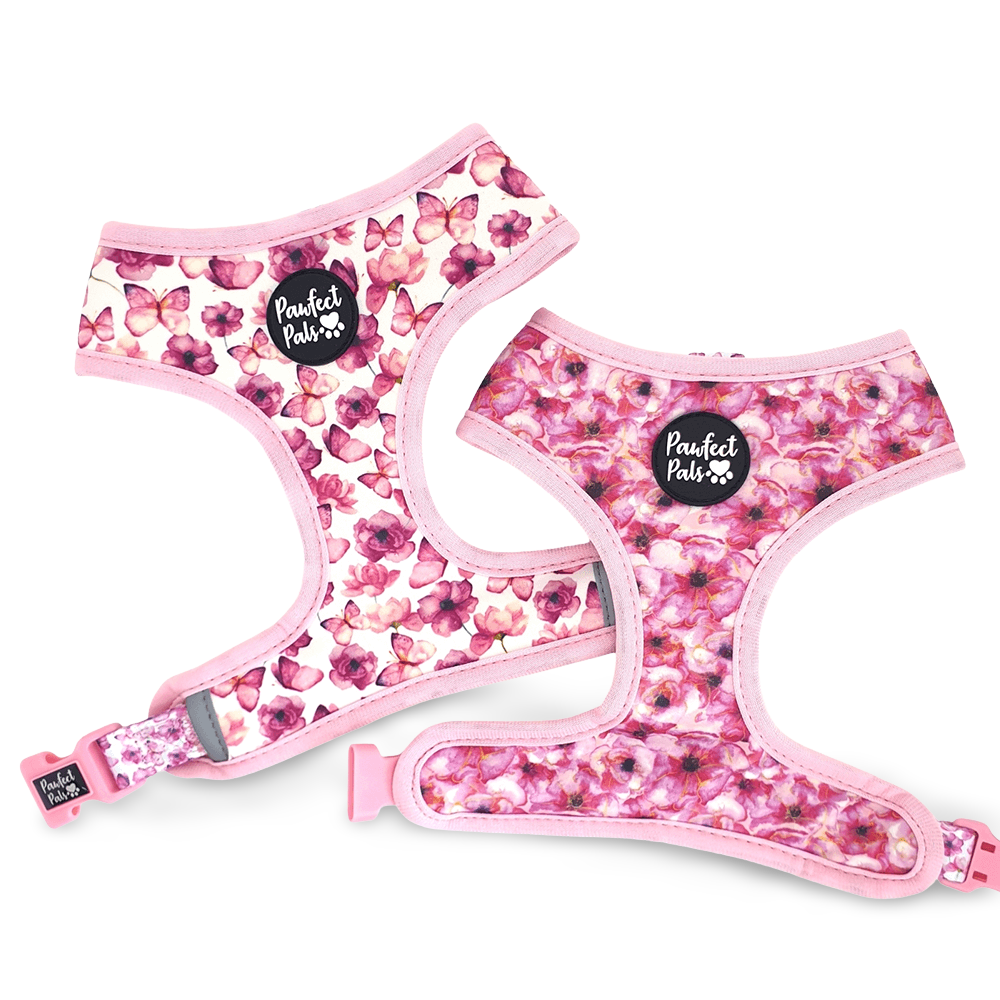 Buy Pawfect Pals You Give Me Butterflies Reversible Harness Online ...
